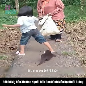 Rái Cá Mẹ Cầu Xin Con Người Cứu Con Mình Mắc Kẹt Dưới Giếng | Lynda Moody