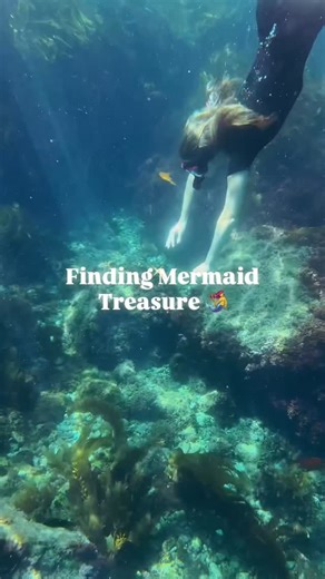 Rocks for the Spirit on Instagram: "Finding Mermaid Treasure 🧜‍♀️🐚🌈 Abalone shells are highly prized around the world as natural gemstones, admired for their vibrant, rainbow like colors. Their shimmering iridescence comes from microscopic layers of nacre also called mother of pearl, primarily made of the mineral aragonite. These layers bend and reflect light to create the shell’s colorful glow. Finding an empty Abalone shell like this was so magical, but we happily returned it to the sea sin