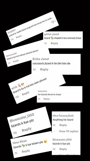 home remedy for lizard removal. chipkali ko khatam krny k liye desi totka, Best House cleaning tip . remedy for lizards #homeremedy #remedy #housfly #lizards #ants #howtoclean #howtotiktok #totkay #ghr #home #desitotkay #urdu #hindi #arabi #diy | Nuray Malyk