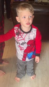 792K views · 6.1K reactions | Get the tissues ready...all he wanted for Christmas is a home......and a garbage truck. | Nate's Honor Animal Rescue Center | Facebook