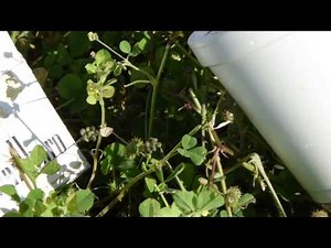 John Huang Nature Conservation PSA