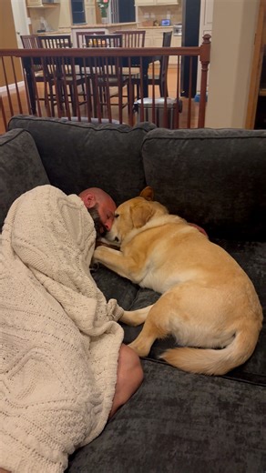 7.4M views · 150K reactions | Who’s setup do you like best?Setup 01 - RileySetup 02 - SkylerSetup 03 – Brian & Magnus Comment Below #Lovesac #LovesacStealthTech #Partner #Family #dog #labrador #familyfun | Magnus The Therapy Dog | Facebook