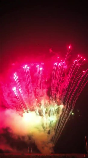 1565 Shots Dongxin Twelve Flames(12 Cakes) by Dancing Fireworks 2025