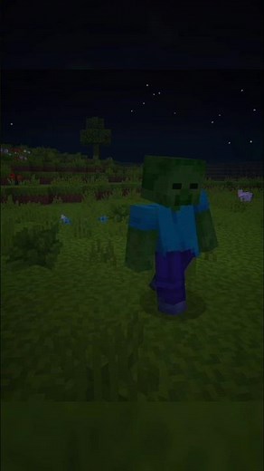 Minecraft But I Used Animation Mod 😂💃