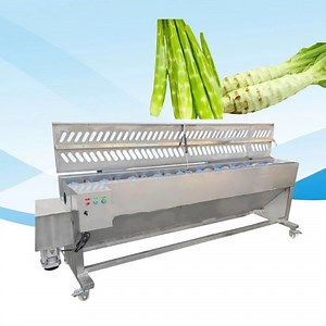 [Hot Item] Vegetable Fruit Peeler Automatic Fresh Carrot Peeling Machine