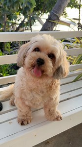 150K views · 7.9K reactions | SOLAR BOY| Solar Firefly Lights sa Tambayan﫶 | Aesthetic Furmom | Facebook