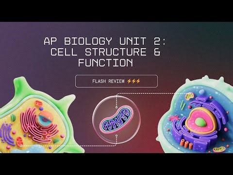 AP Bio Unit 2 Cell Structure and Function Under 5 Minutes Review - 2025 Version!