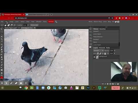 Photopea Lasso Tool Copy/Paste Layers