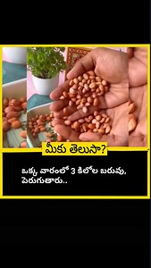1M views · 5.3K reactions | DM ME FOR PAID PROMOTIONS.. . . . . . #healthtips1440 #healthylifestyle #weightgain #hydrabad #homeremedies #facts #telugureels | health tips telugu | Facebook