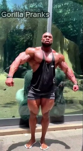 BODYFLEX SHOWDOWN 💪 | Heavy Bodybuilder vs Gorilla Power