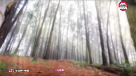 Zadipatti.MH36 on Instagram: "#zadipatti #yuvraj_production #short"