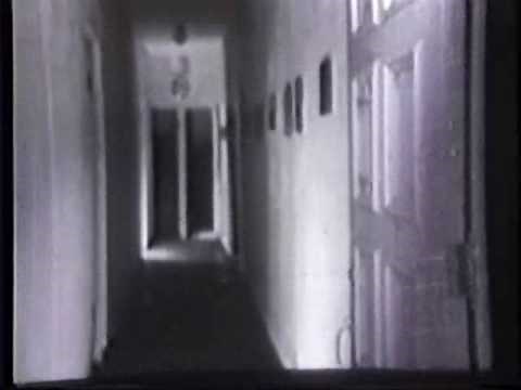 Rife machines to fight Lyme Disease