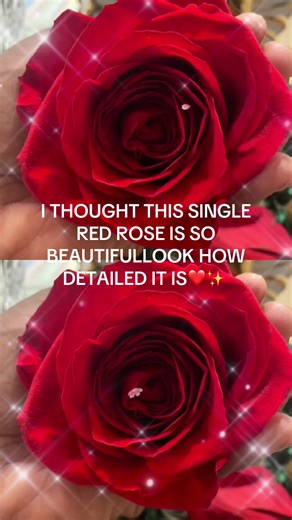 {poem} WHERE THE REDEST ROSE BLOOM^~^. ✨A Rose so red you make me want to take you back to Bed. To Raised you well under no spell. So that I may witness your bloom beneath the Moon’s Lights Gloom. Oh what a fright to not have the Sun’s light. Oh red rose you are my Sun and I your Moon Light❤️##EllesPoem#RedRoseLight✨#SoBeautiful#Moonlightgloom#SunLightlom