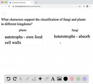SOLVED:What characters support the classification of fungi and plants in different kingdoms?
