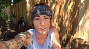 2M views · 667 reactions | Does your dog get WAAAAAY too excited &...