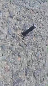 176K views · 977 reactions | SPIKE ALERT ⚠️ *LATEST SPIKING METHOD*‼️ For those who have not picked up on this video posted on several groups. *PLEASE TAKE NOTE AND BE AWARE*‼️ Although this happend in Botswana, it is guaranteed that it will be here soon. | Crime Busters-Zondi Patrol" | Facebook