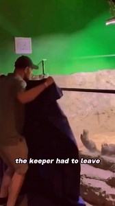 Dont abandon itit will really cryanimals otter cute heartwarming foryou | Loveanimals69