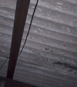 42K views · 328 reactions | Lawa bunga api dia.. | OMG Media | Facebook