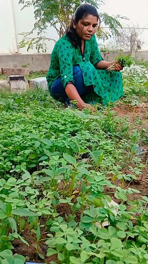 761K views · 8.8K reactions | Methi Cabbage Egg Podimas | Healthy...