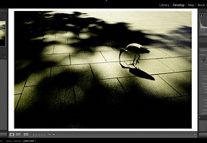How to Adjust the Shadows in Photos Using Lightroom Classic | Envato Tuts