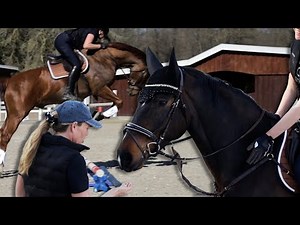 Neues Springpferd für Victoria – Dressurpferd wird umfunktioniert