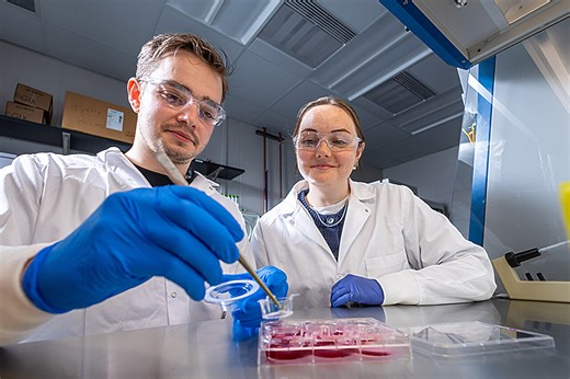 Physical pressure on the brain can trigger neurons' self-destruction programming