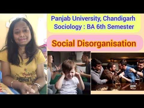Social Disorganisation : Meaning and Characteristics #ba6thsemester #sociology #puchd #upsc #ugcnet