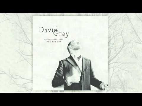 David Gray - Gossamer Thread (Official Audio)