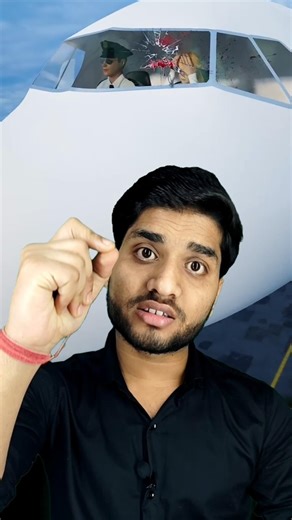 Can a Bird Really Crash an Airplane? | Aviation Explained