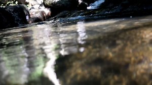 REAL-INFANTA WATERSHED FOREST RESERVE at 19 Theme: "WATERSHED DAY @ 19 VS COVID-19: Malusog na Tubig Kanlungan ay Mahalaga Upang Malabanan ang Nararanasang Pandemya” Invocation National Anthem Municipal Hymns - Real - Infanta Opening Message - Mayor Filipina Grace R. America, Infanta, Quezon Inspirational Message - Most Reverend Bernardino C. Cortez, D.D., Bishop, Prelature of Infanta Special Number - Local Government Unit of Real Message from the Guest Speaker - Mr. Nonito M. Tamayo, CESO IV, R