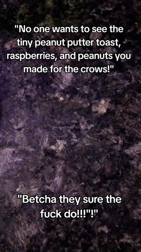 Delicious Treats for Crows: Peanut Butter Toast and Berries