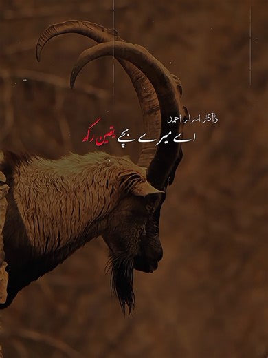 اے میرے بچے یقین کر | Dr Israr Ahmed | Emotional Clip . . . . #drisrarahmed #dr_israr_ahmed_lectures #dr_israr_ahmed #drisrarahmedsahab #ummatti