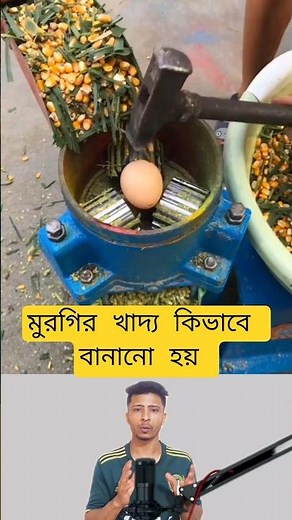 How To Make Chicken Feed At Hom