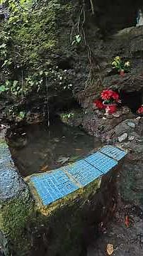 Water springs inside a house in Izalco Sonsonate 🇸🇻