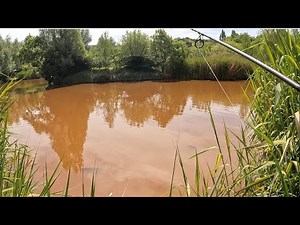 Surface fishing for carp