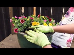 How to Create a Simple Container Garden | Easy DIY Planter Ideas