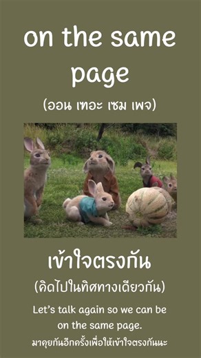 สอนภาษาอังกฤษ | คอร์สอังกฤษออนไลน์ on Instagram: "ได้ยินเพื่อนเมกันพูดอยู่บ่อยๆ 📄📃 สำนวนพูดนี้จำง่ายด้วยน้า 🥝🫒🤍 🛎️ คอร์สเรียนปูพื้นฐานแข็งแรงเทคนิคพิเศษ รีวิวของแท้แน่นเต็มเพจ 🛎️ ▪️1. คอร์ส SPEAKING (690.-) 🎁 คุ้มมากก เนื้อหาแน่นอธิบายละเอียดใส่ใจสุดๆ 🎅🏻🎄✨ ▪️2. คอร์ส IELTS Speaking & Listening (990.-) / vdo 20 ชม.+ 🎂🍰 ▪️3. คอร์ส GRAMMAR (1,990.-) / vdo 40 ชม. 🏆 รีวิวเยอะสุดๆ ▪️4.คอร์ส IELTS WRITING TASK 1 (990.- / vdo 10 ชม.+) ▪️5. คอร์ส IELTS WRITING TASK 2 (990.- / vdo 10 ชม.+) ▪