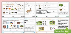 Year 1 Science Revision Activity Mat Pack