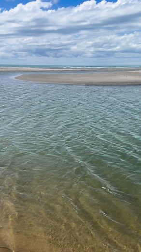 319 reactions · 19 comments | Grateful to have someone there who can show the way to set our flounder net appreciate you brother Lexton #knowledge #flounder #whanautime | Kai Gatherer | Facebook