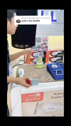 Edmark Steam Iron Tutorial: How to Use Iron Steamer Brush