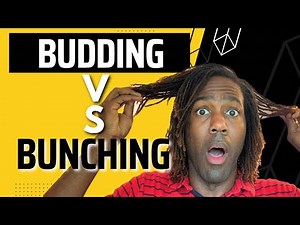 BUDDING VS BUNCHING | HOW TO KNOW THE DIFFERENCE AND WHEN TO REPAIR | DIY MICROLOCS