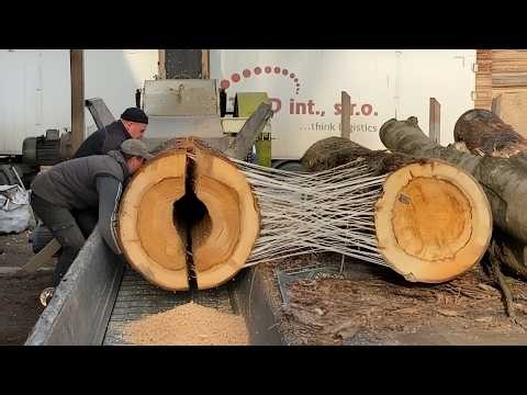 HIGH RISK Jam Inside Industrial Shredder.