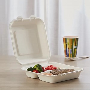 [Hot Item] Biodegradable Disposable Bagasse Takeaway Fast Food Packaging Biodegradable Containers Food