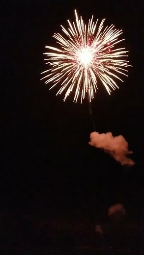 8" Ball Shell with Rising Effect Flight - 1005