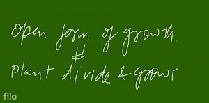 246Figure 15.8 Sequence of the developmental process in a plan... | Filo