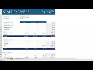 Practice Video: Multiple Worksheets - Excel Skills for Business: Intermediate I