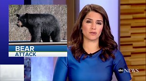Teen camp staffer said he woke to a bear biting his head