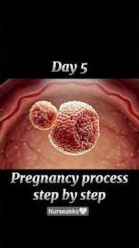 ஒரு துளியின்அதிசயம் 😇கர்த்தரிப்பதுதெரியும் முன்னே😇/பேபிforming process🤱#body#women #wonder#pregnancy