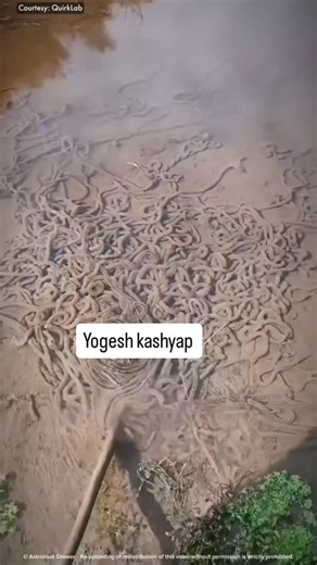 What Are These Transparent Strings?#sciencefacts #science #reels #facts #viral | Yogesh Kashyap