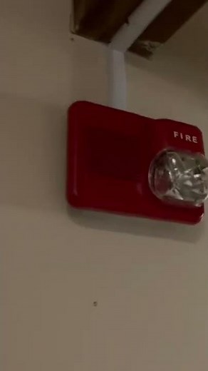 March Time Fire Alarm